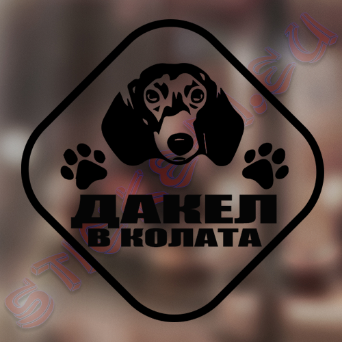 Стикер Дакел в колата - Висококачествени стикери